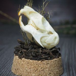 Магазин мастера Шкатулка Рыси (Lynx_casket) (lynxcasket) на Ярмарке ...