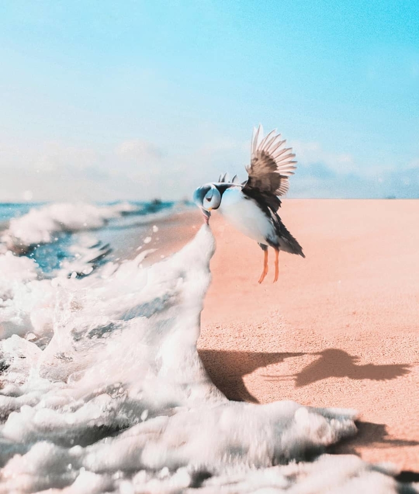 World of Illusions by Ronald Ong | Журнал Ярмарки Мастеров