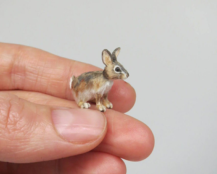 Unbelievable: Tiny Creatures by Fanni Sandor: Ideas & Inspiration в ...