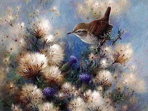 Птицы акварелью Raymond Cyril Watson