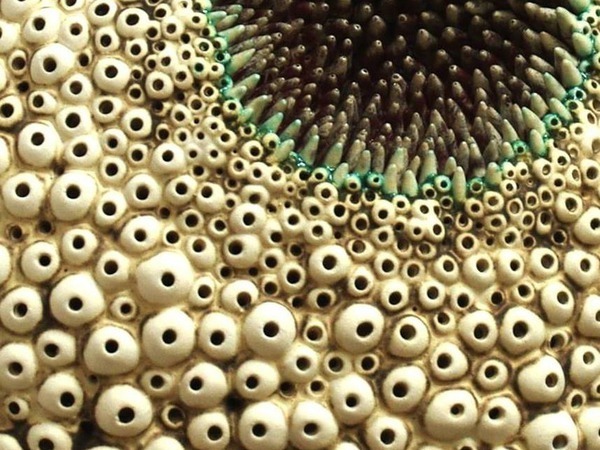 Прорастающая керамика Eliane Monnin